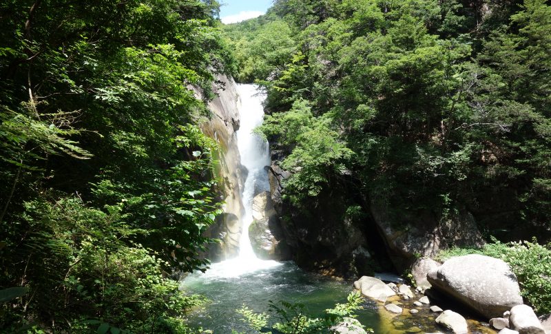 90201306 XL BLACK DISTRESSED LEATHER SA | ハーレーダビッドソン 東久留米 （カスタム）｜ハーレーの ...